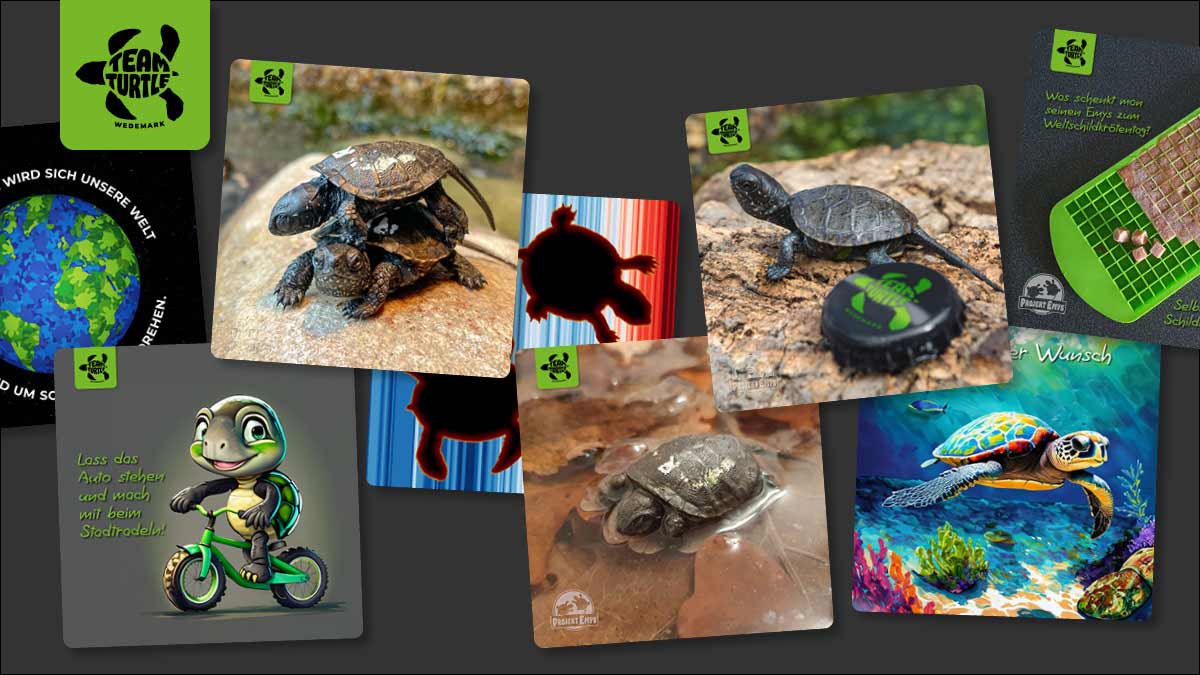 Blog | TEAM TURTLE Wedemark e.V.
